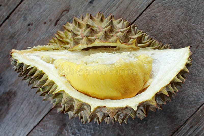 Yellow Durian stock image. Image of seed, fruit, spiky - 34293317
