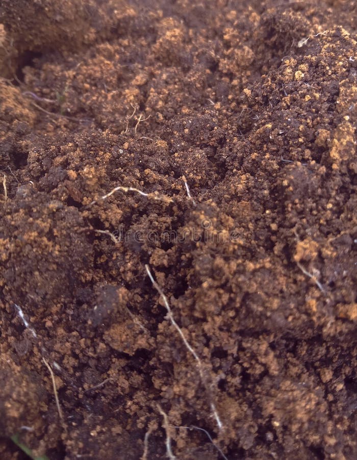 Yellow Earth or Clay Mixed with Black Soil Stock Image - Image of clay ...