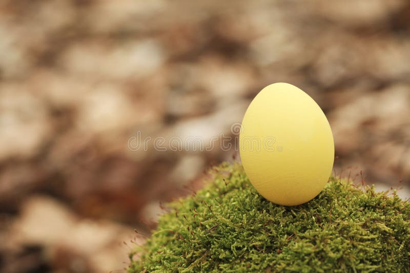 Yellow easter egg stock photo. Image of depth, green - 17877814