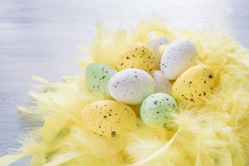 Yellow Easter Eggs in a Feathers Nest Stock Photo - Image of living ...