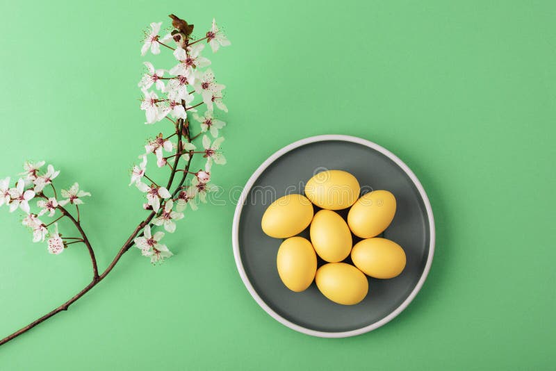 Yellow Easter Eggs on Grey Plate with Cherry Blossom Branch on Green ...