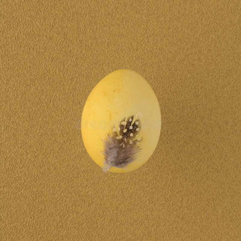 Yellow egg stock photo. Image of single, eggshell, color - 246556638