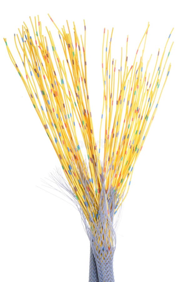 Yellow Electrical Wires with Cable Shield Stock Image - Image of ...