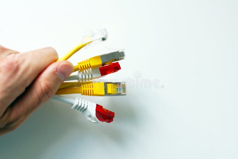 Ethernet Cables in a Human Hand Stock Photo - Image of information ...