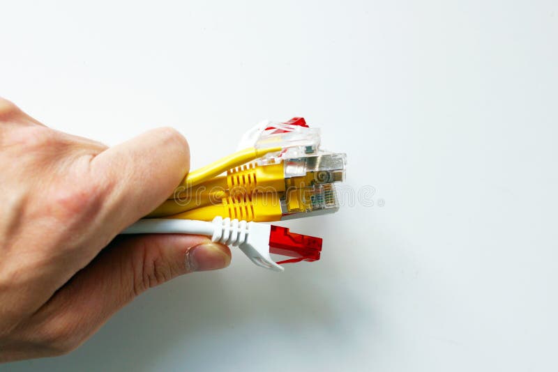 Ethernet Cables in a Human Hand Stock Image - Image of hand ...