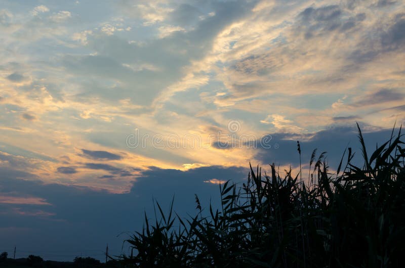 Yellow Evening Sunset in the Sky with Clouds Stock Photo - Image of ...