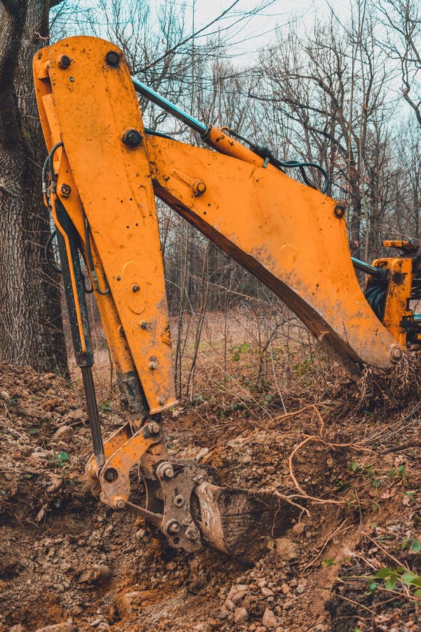 The Excavator Works in the Forest in Clearing the Forest Stock Photo ...