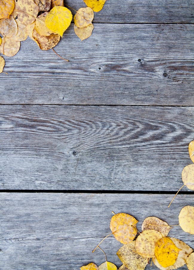 Fall wood background stock photo. Image of nature, grain - 21530750