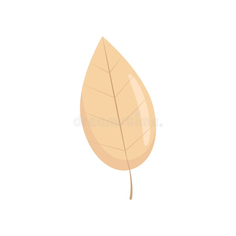 Yellow Fallen Leaf in Flat Style, Autumn Leaves, Vector Object in Flat ...