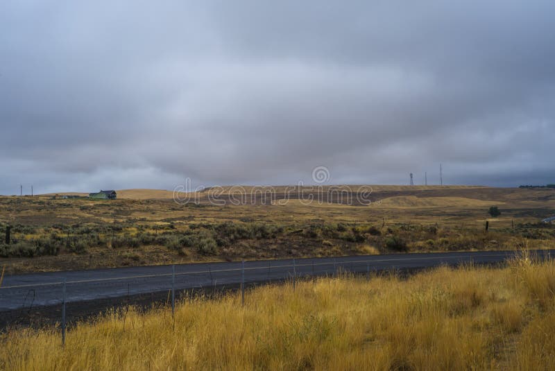 Yellow Farm Land in the Pacific Northwest on an Overcast Day Stock ...