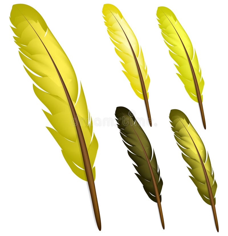 Yellow feather stock vector. Illustration of brush, object - 18666771