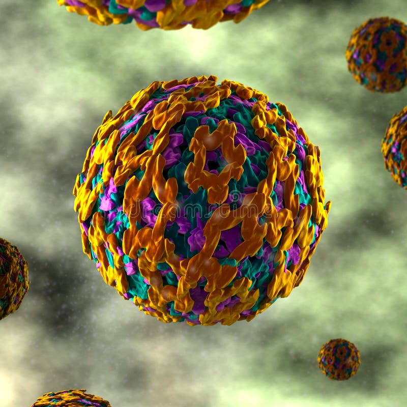 Yellow Fever Virus - in Fluid Stock Illustration - Illustration of ...