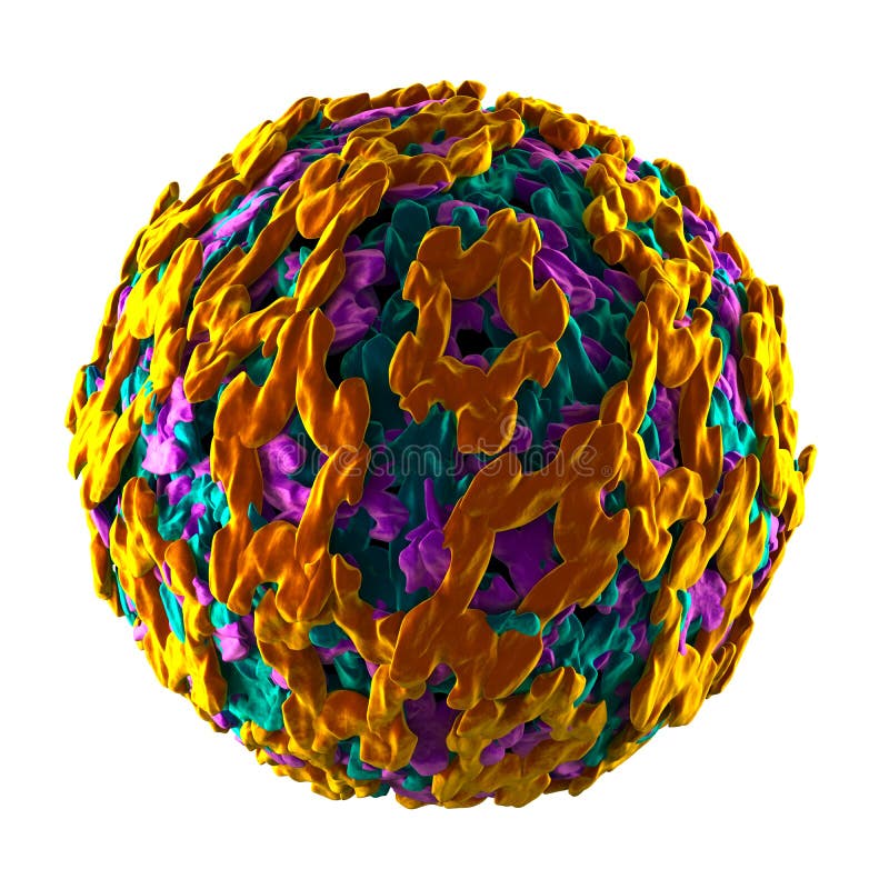 Yellow Fever Virus - Isolated on White Stock Illustration ...