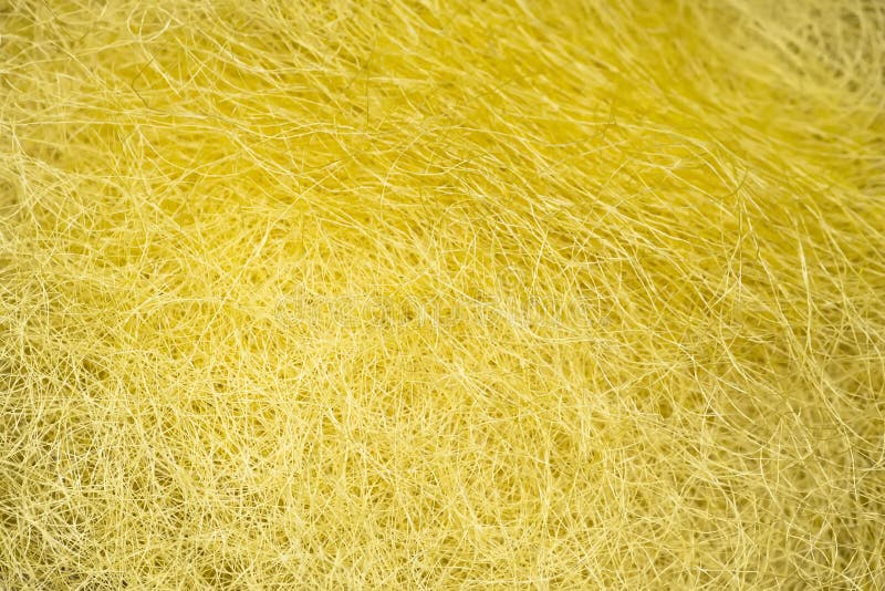 Yellow Fiber of the Silkworm, Stock Photo - Image of fiber, delicate ...