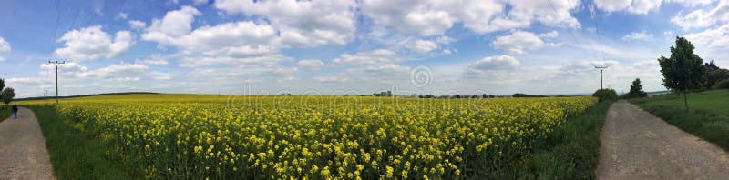 Yellow field stock image. Image of clouds, yellow, travel - 54480141