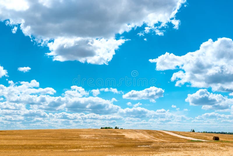 Beautiful Clouds and Blue Sky Over Field and Fores Stock Photo - Image ...