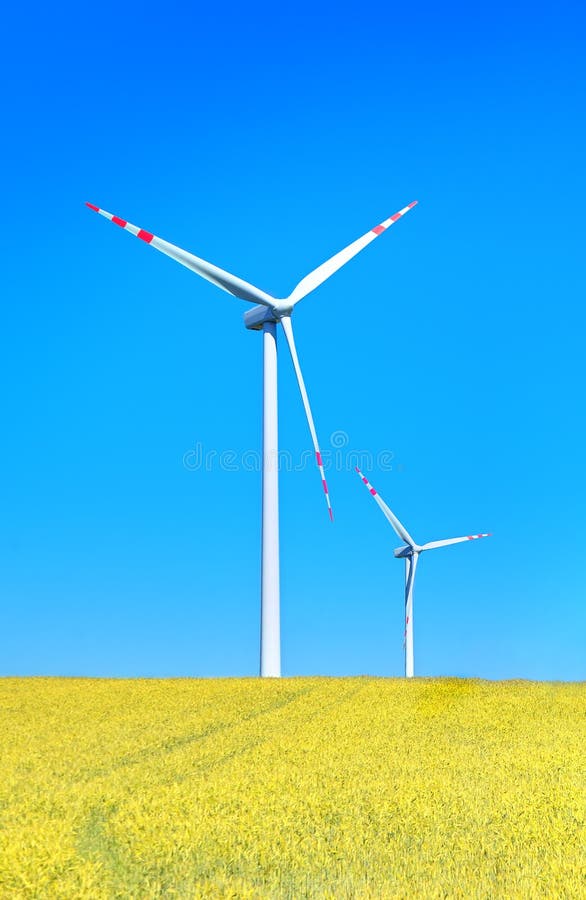 Yellow Field and Wind Turbines Stock Image - Image of country, peaceful ...