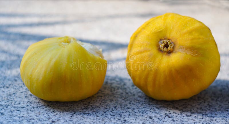 Yellow fig stock photo. Image of fruit, nature, diet - 258590090