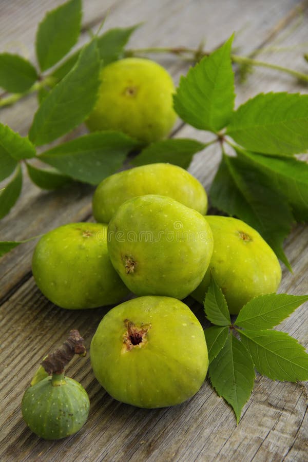 Yellow figs stock photo. Image of leaf, appetizing, nutritious - 15410880