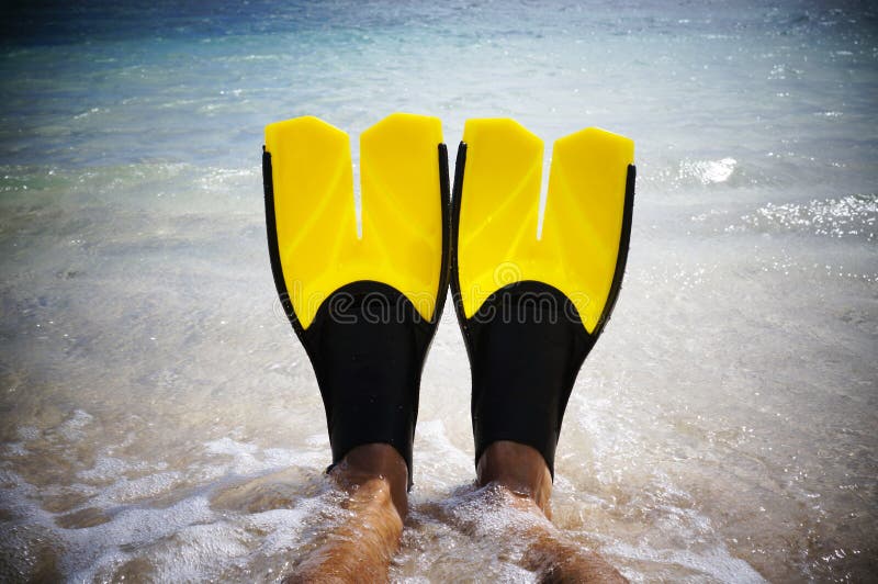 Yellow fins stock photo. Image of black, underwater, sport - 24451622
