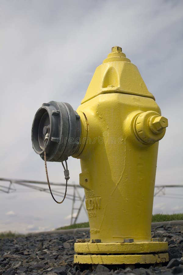 Yellow fire hydrant stock photo. Image of outdoors, close - 14555538