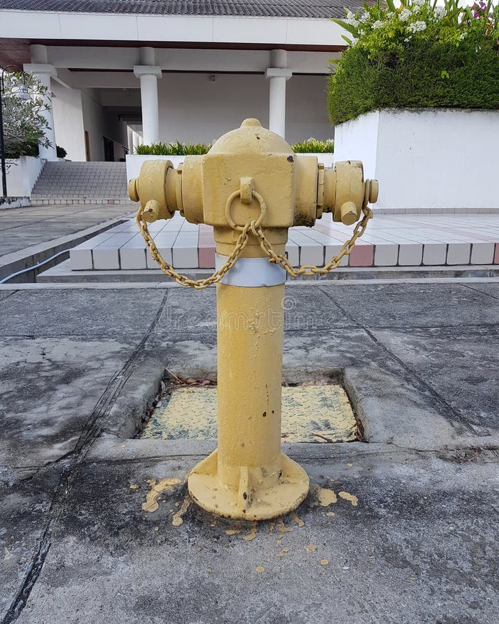 Yellow Fire Hydrant beside Building Stock Image - Image of rescue ...