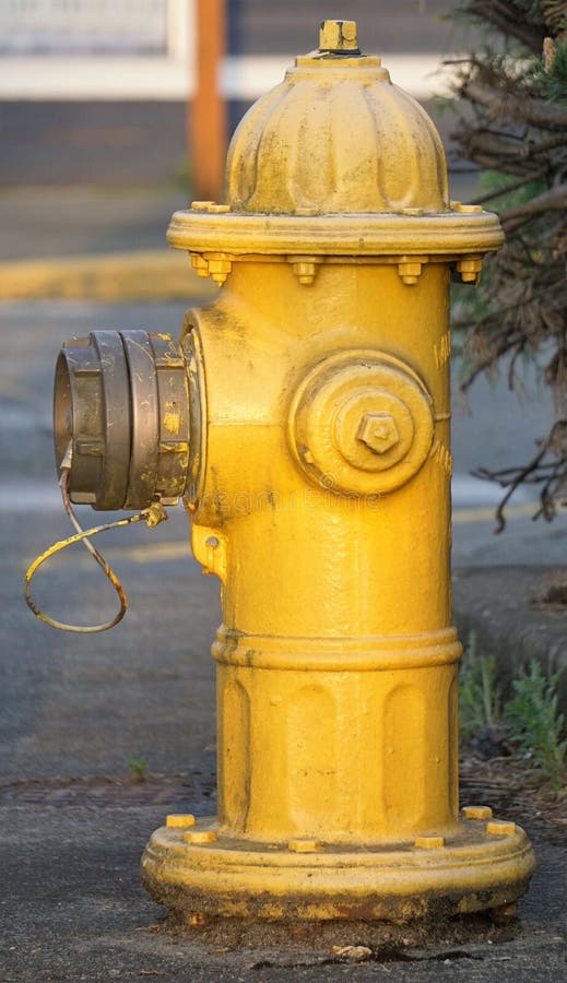 Yellow fire hydrant stock photo. Image of city, hydrant - 70640010