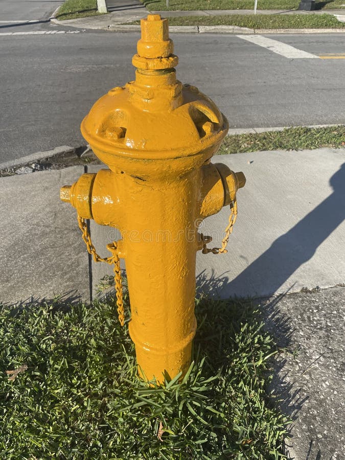 A Yellow Fire Hydrant Green Grass by a Side Walk Stock Photo - Image of ...