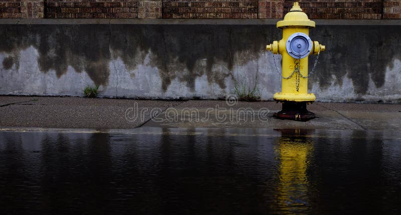 Yellow Fire Hydrant Reflected in Pool of Water Flood Stock Photo ...
