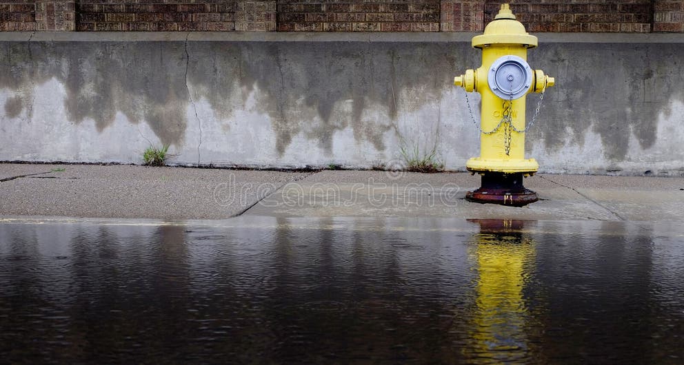 Yellow Fire Hydrant Reflected in Pool of Water Flood Stock Photo ...