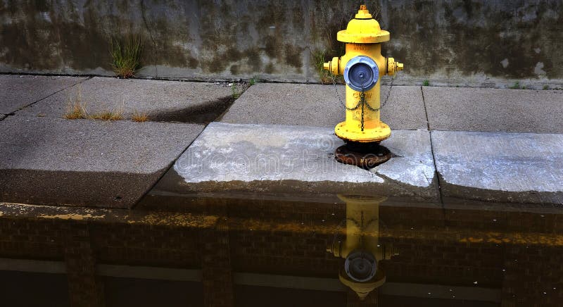 Yellow Fire Hydrant Reflected in Puddle of Water in Gutter Road Stock ...
