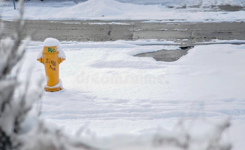 Yellow Fire Hydrant on the Road Covered in Snow Stock Photo - Image of ...