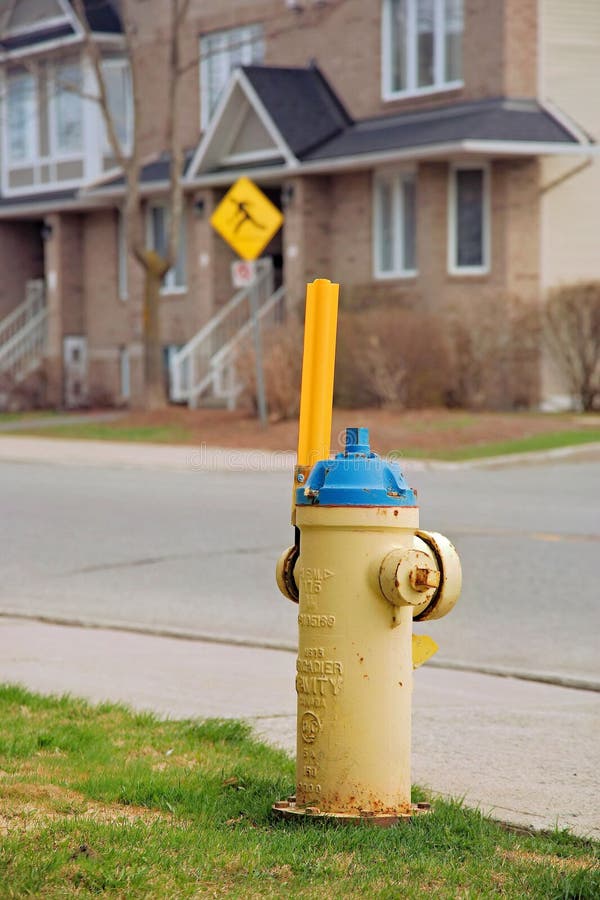 Yellow Fire Hydrant on the Roadside. Ottawa, Canada Stock Photo - Image ...
