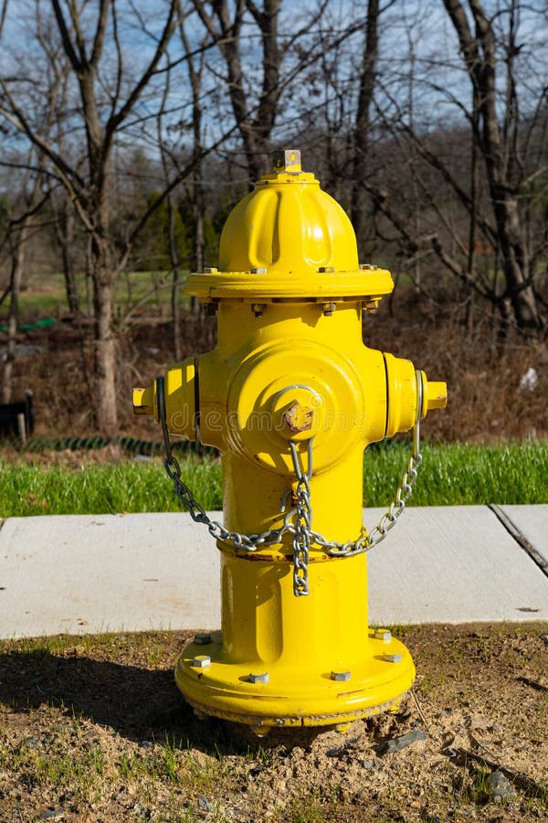 Yellow fire hydrant stock photo. Image of sidewalk, public - 203828840