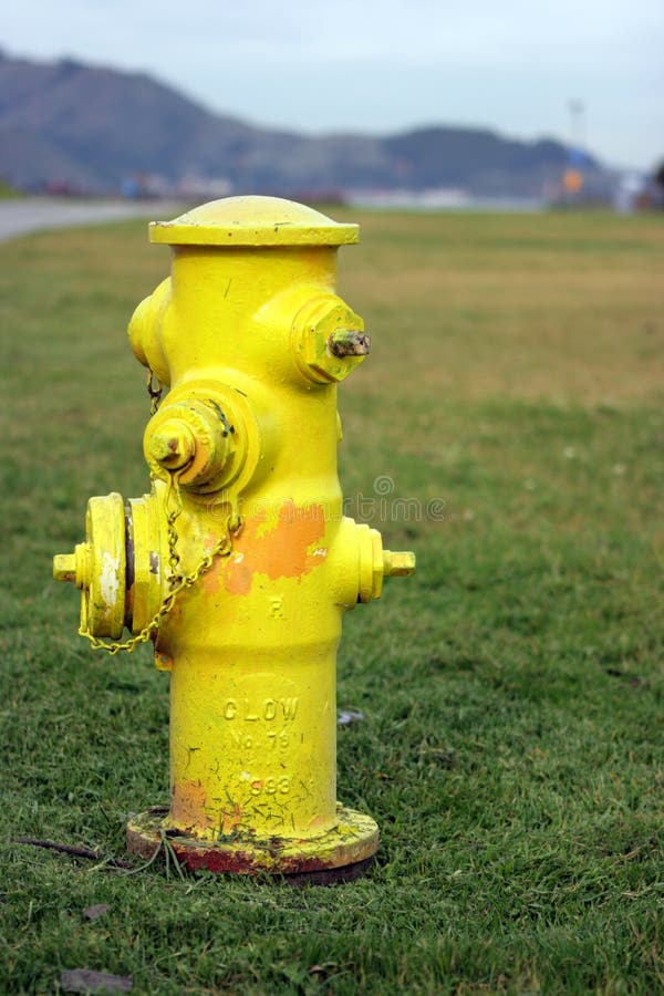 Yellow fire-plug stock image. Image of plug, grass, fireplug - 12817003