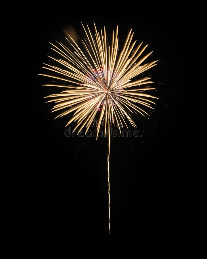 Yellow Fireworks Celebration and Anniversary on Night Sky Background ...