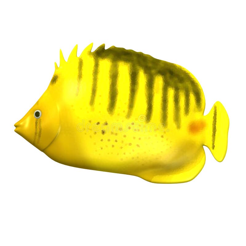 Yellow fish stock illustration. Illustration of render - 23765774