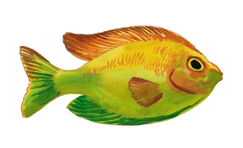 Yellow fish stock illustration. Illustration of food - 362690024