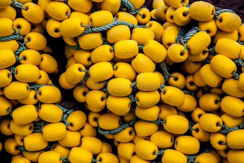 Yellow fishing louer stock image. Image of lake, isolated - 7969265