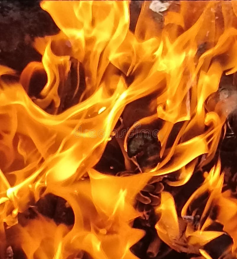 Yelloflame Stock Photos - Free & Royalty-Free Stock Photos from Dreamstime