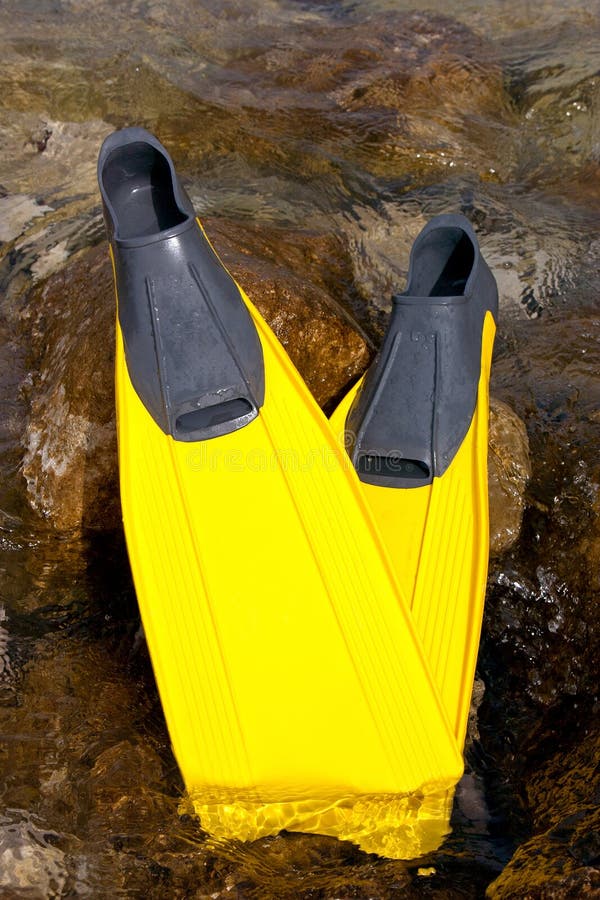 Snorkling - 10 stock image. Image of mask, activity, leisure - 30315105