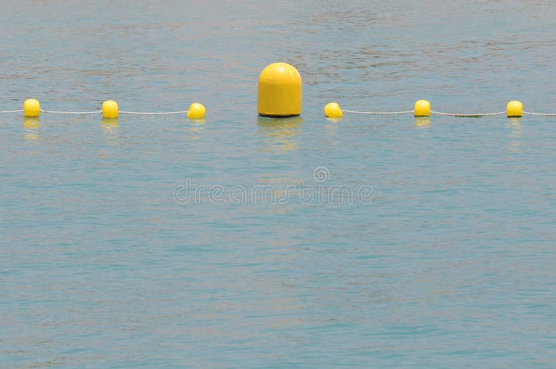 Yellow Floaters stock photo. Image of detail, outdoor - 34713358