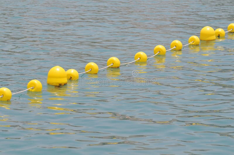 Yellow Floaters stock image. Image of bray, fish, texture - 36932185