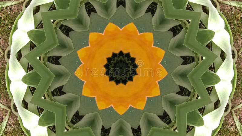 Flower Colidescope Stock Photos - Free & Royalty-Free Stock Photos from ...