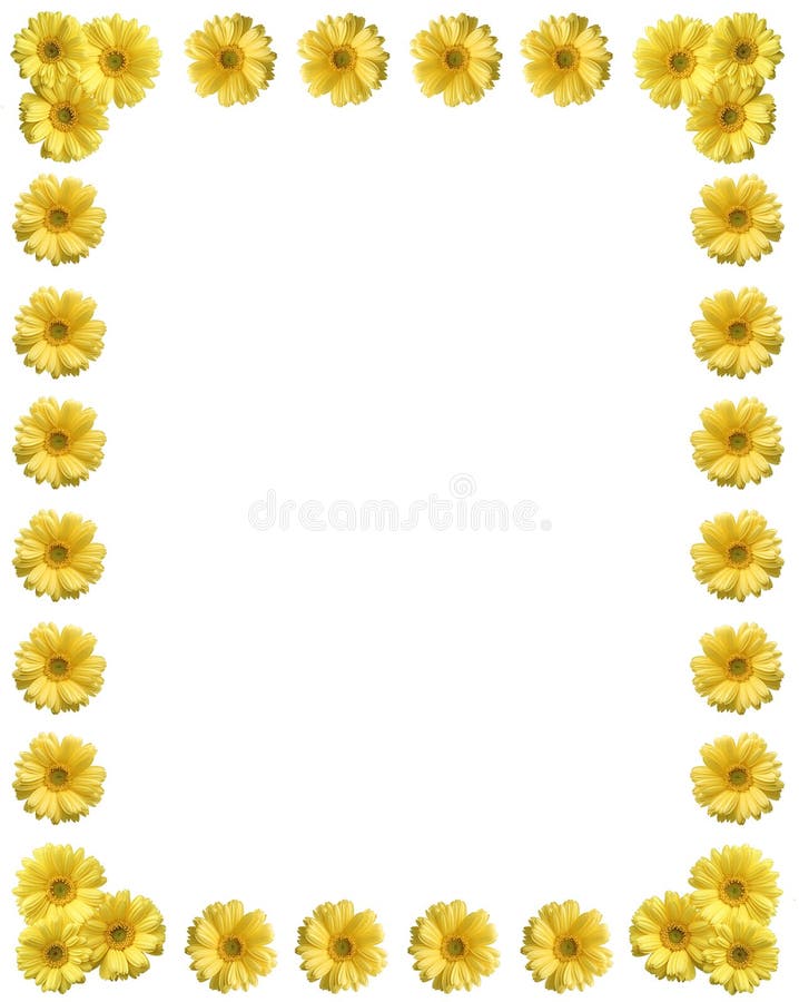 Yellow Flower Frame With Copy Space Royalty Free Stock Photography ...