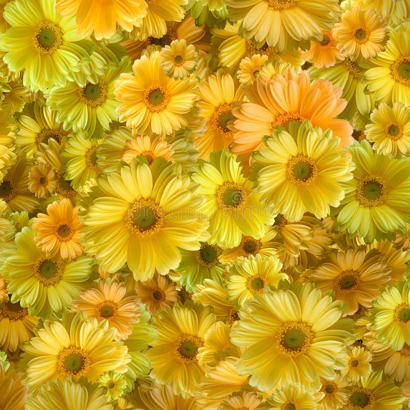 Yellow Flower Pattern Background. Flower Pattern for Design, Wallpaper ...