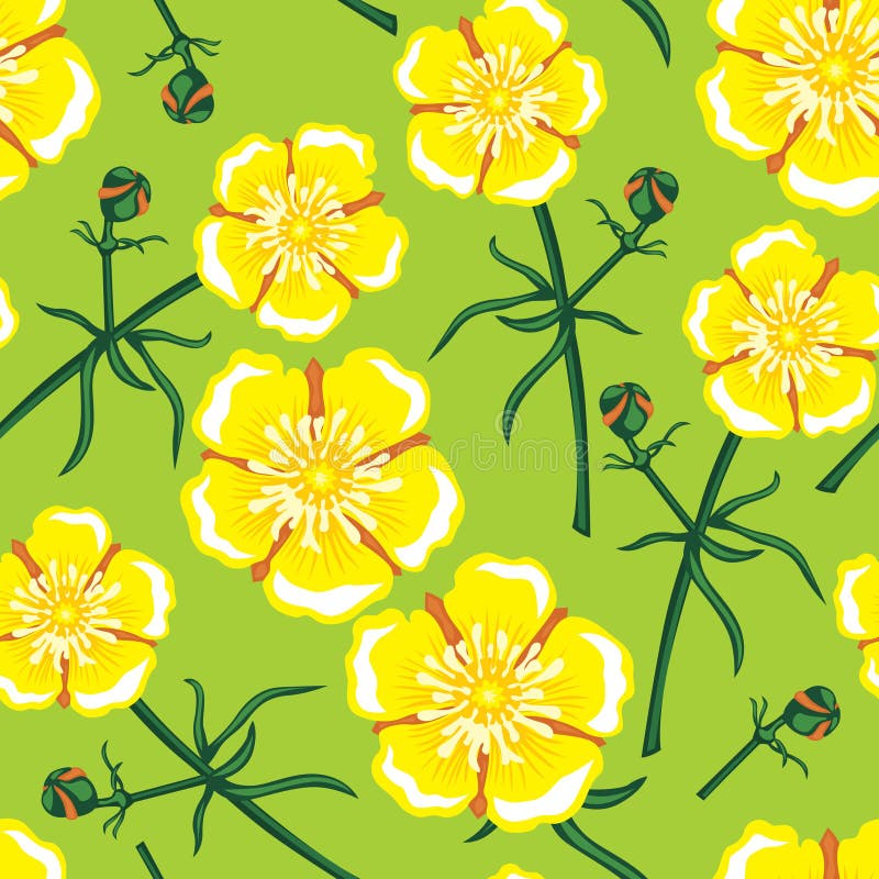 Yellow Flower Seamless Pattern Stock Vector - Illustration of meadow ...