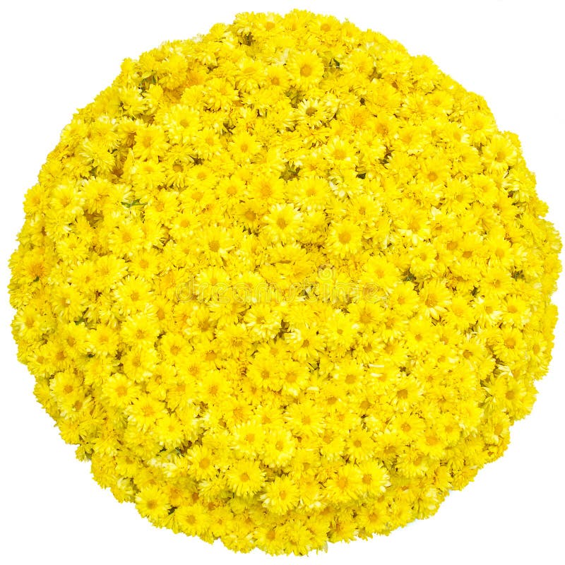 Yellow Flowers Garlands Shaped in Circle Stock Photo - Image of fresh ...