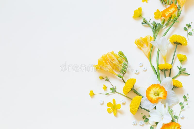 Yellow Flowers on Yellow Paper Background Stock Image - Image of flat ...