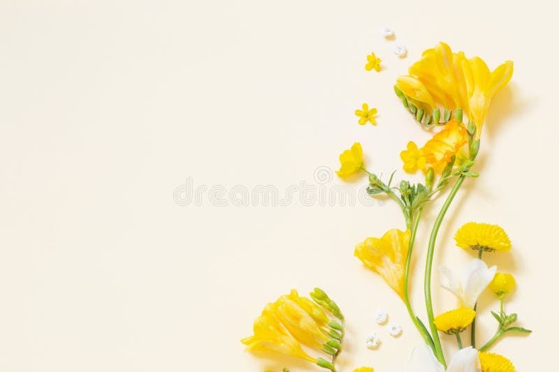 Yellow Flowers on Yellow Paper Background Stock Image - Image of beauty ...